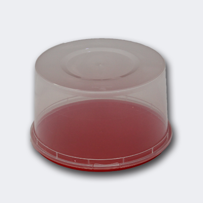 Thin Wall Injection Molding